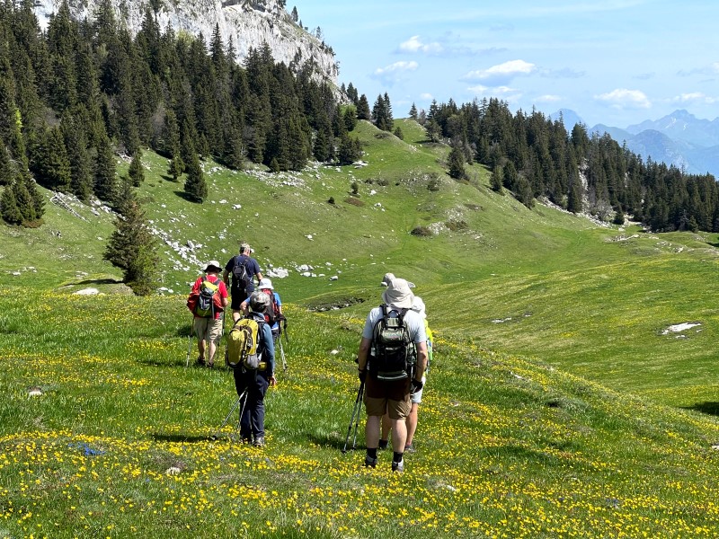 Séjour Chartreuse avec guide - Séjour rando accompagné Alpes